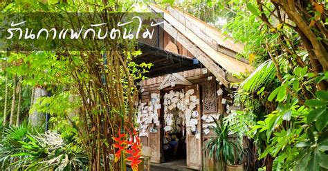 รีวิว ร้านกาแฟกับต้นไม้ จิบกาแฟที่บ้านไม้ริมคลอง ไม่ไกลจากกรุงเทพ ชิล