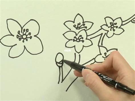 梅花幼儿简笔画 梅花幼儿简笔画图片大全 苗苗知道