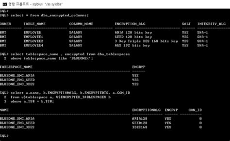 oracle dbms 12c r2 국산 알고리즘 aria seed 기능 지원 dba의 정석