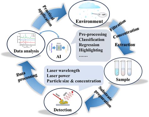 Schematic Representation Of The Application Of Raman Technology In The