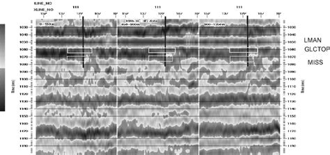 Migrated Limited Offset Sections For A The 1993 Blackfoot 3d Data