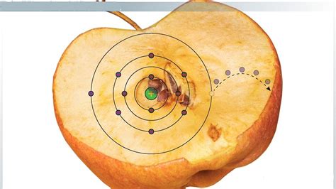 ჟანგვა აღდგენითი რეაქციები და კულინარია Mastsavlebeli Ge