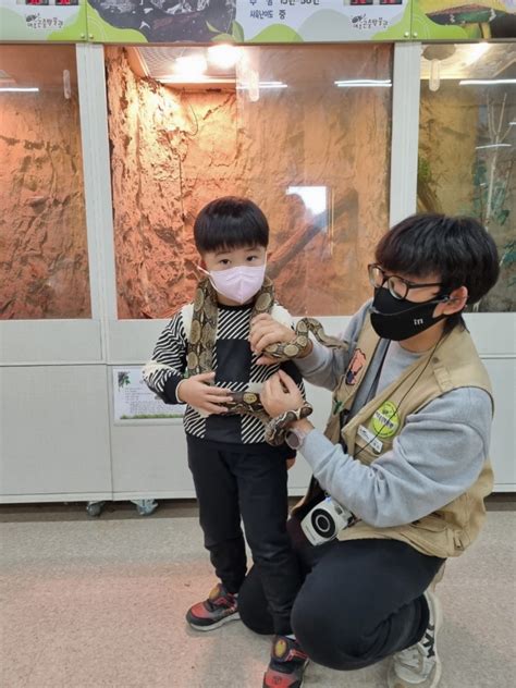 경기 여주 아이랑 서울근교 실내 가볼만한 곳 여주 곤충박물관 네이버 블로그
