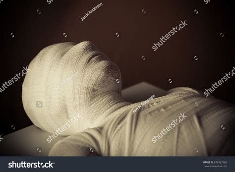 20 Mummification Table Gambar Foto Stok And Vektor Shutterstock