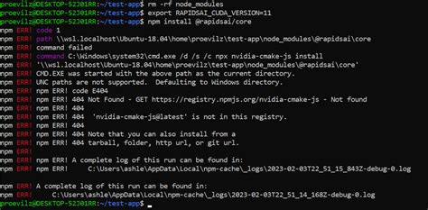 Question How To Get Started · Issue 451 · Rapidsainode · Github