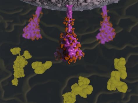 Sars Cov 2 Mutation Explorer By Sc2 Application