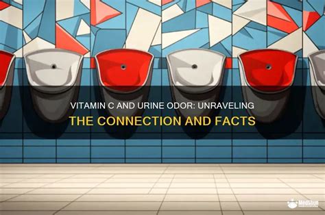 Vitamin C And Urine Odor Unraveling The Connection And Facts Medshun