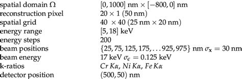 discretization and model parameters used for the reconstruction of a