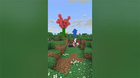 Habibi Hamood Vs Sonicexe 😱😮 Sonic Sonicexe Hamood Habibihamood