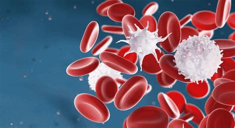 Leukocytosis High Wbc Count Types Causes Symptoms And Treatments