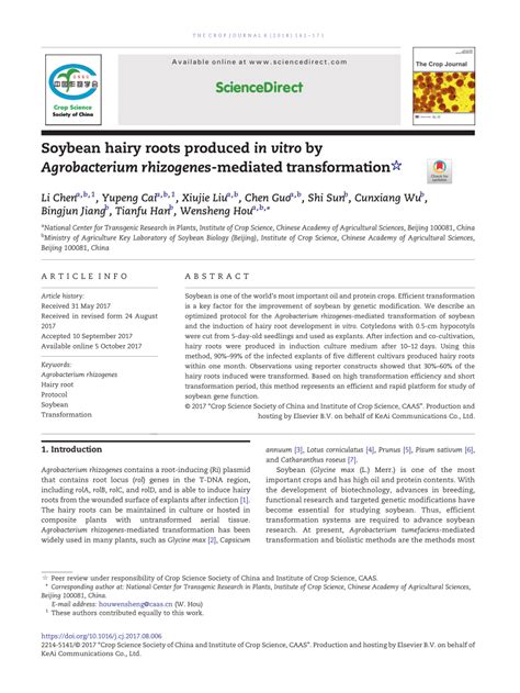 PDF Soybean Hairy Roots Produced In Vitro By Agrobacterium Rhizogenes Mediated Transformation