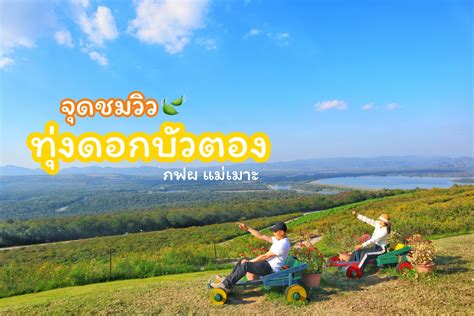 จุดชมวิว กฟผ แม่เมาะ Pantip