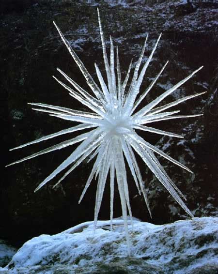 Artaboo Andy Goldsworthy Rivers And Tides