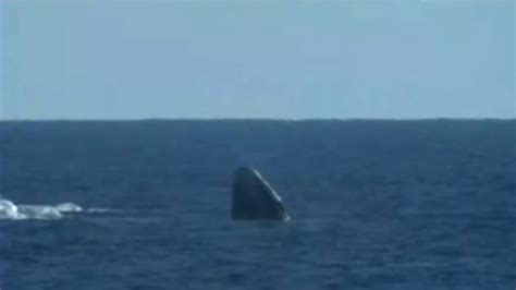 Nasas Spacex Crew 4 Capsule Splashes Down Near Florida