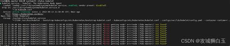 【k8s】三、k8s集群的初始化 here is one example how you may list all running k csdn博客