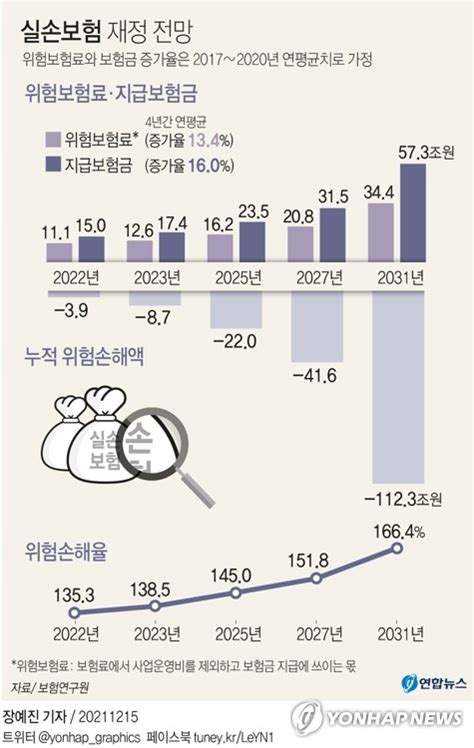 그래픽 실손보험 재정 전망 연합뉴스