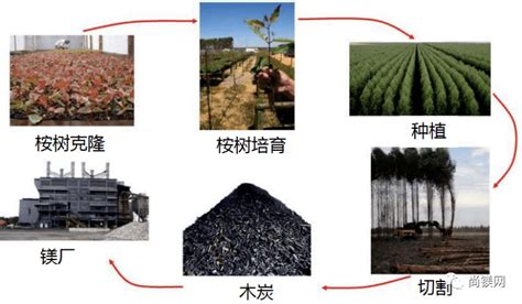 2022国际镁协环境责任奖被授予这家镁一体化公司 生产 利马 研究