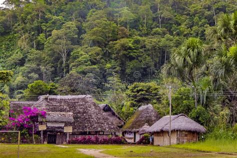 Casas Indígenas En Amazonia Ecuador Foto editorial Imagen de frondoso
