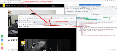 Python爬虫：获得某网站的一个视频防盗链代理爬虫爬取 Video Src Csdn博客
