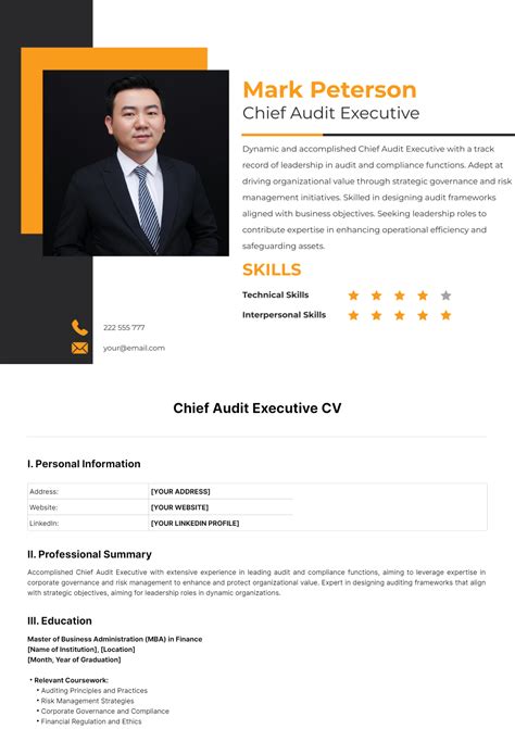 Free Chief Audit Executive Cv Template To Edit Online