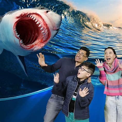 Aquele Dia Gostoso Em Família E Com Aventuras Do Fundo Do Mar