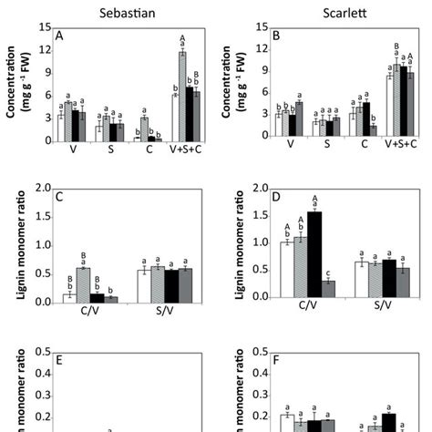 Cornelia Rumpel Research Director Phd Hdr French National Centre