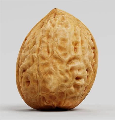 Organic Walnut Shell At ₹ 450kg Organic Walnuts In Patna Id