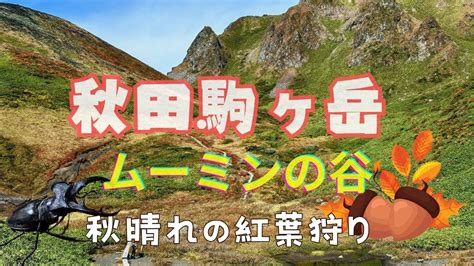 秋田の旅 秋田駒ヶ岳の絶景雲海と紅葉狩りムーミン谷男岳男女岳の美景 国見温泉森山荘 秋田登山 YouTube