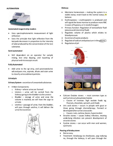 Clinical Micrsocopy 1 MICROSCOPY AUTOMATION Automated Reagent Strip Readers Uses Studocu