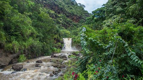 Waimea Falls Oahu Hike A Comprehensive Guide Real Hawaii Tours