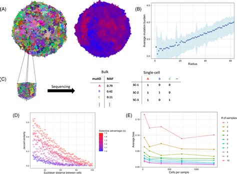 The main features of SITH A 3D snapshots of a simulated tumor 10⁶