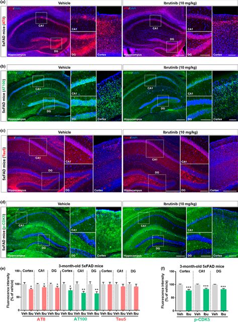 Ibrutinib Significantly Reduces Tau Phosphorylation And Tau Kinase