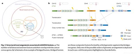 六、肿瘤rna突变的全组学研究 肿瘤基因调控（genomic Basis For Rna Alterations In Cancer）rna