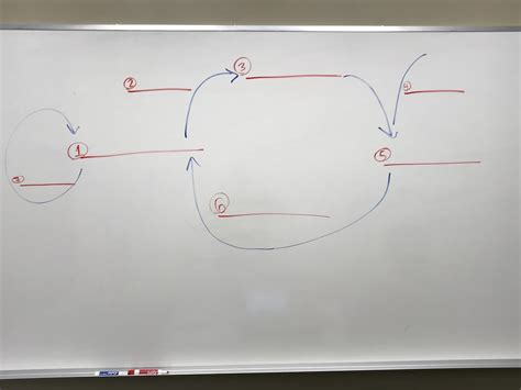 Gametic Meiosis Diagram Quizlet