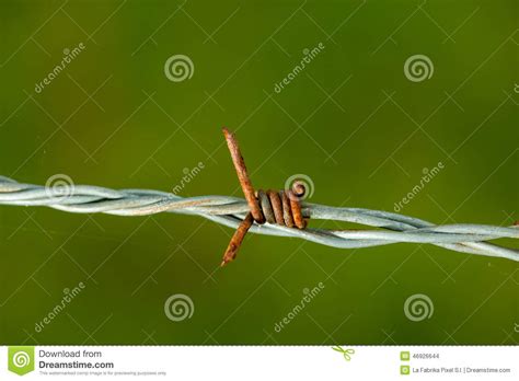 Barbed Wire Stock Photo Image Of Rural Rust Rusty 46926644