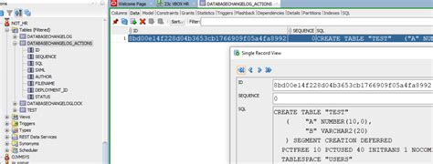 Run Liquibase Updates For A Specific Schema With SQLcl