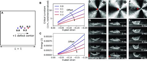 Spatial Variation In Patterning A Central Point Of The Topological