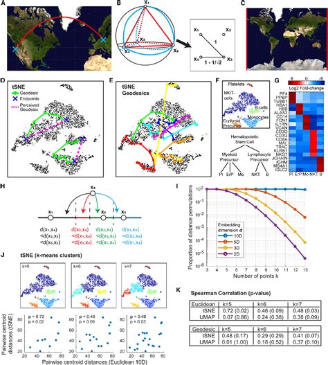 Figure 1 From What Cannot Be Seen Correctly In 2D Visualizations Of