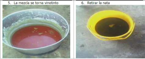 Aprende A Preparar El Caldo Sulfocalcico