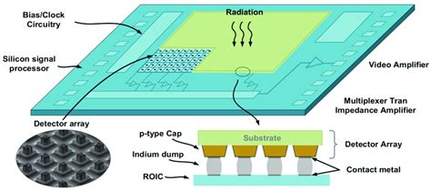 Structural Diagram Of Irfpa Download Scientific Diagram