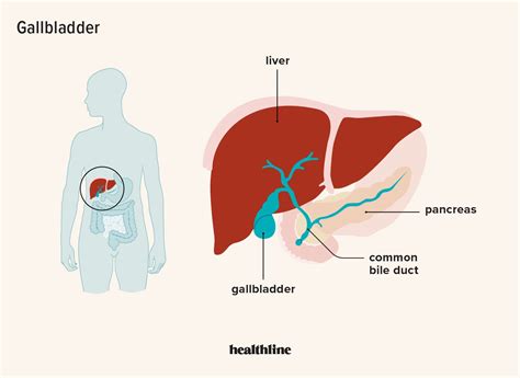 Common Signs And Symptoms Of Gallbladder Problems