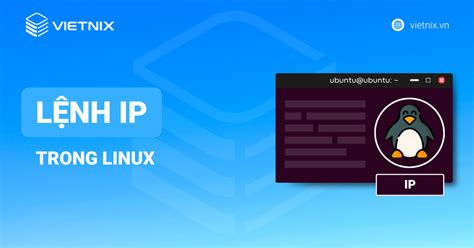 Cách Sử Dụng Lệnh Ip Trong Linux đơn Giản Nhất 2025