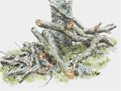 Cherry Logs Wild Yorkshire