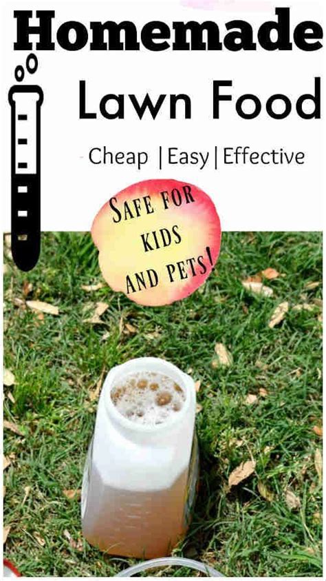 Homemade Grass Fertilizer Recipe Besto Blog