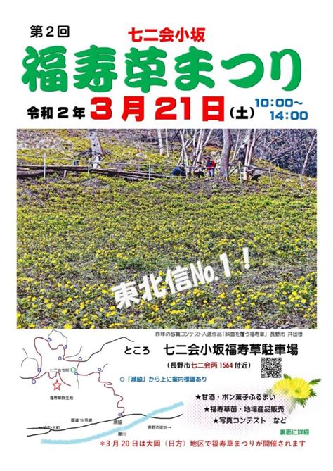 小坂福寿草まつりのお知らせです なにあいドットコム