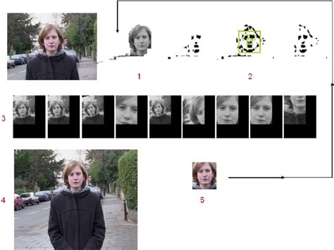Schematic Description Of The Algorithm Employed For Tracking The Face