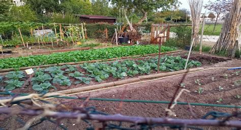 Organic Vs Inorganic Fertilisers Soil Health And Fertility Food2soil