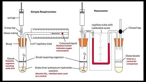 Using A Respirometer Ocr A A Level Biology Revision 522 Respiration