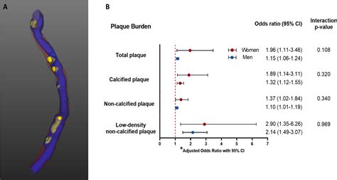 Sex Differences In Computed Tomography Angiography Derived Coronary