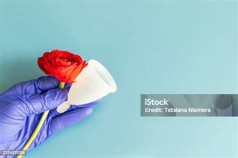 5월 28일 세계 월경 위생의 날 모형 장갑을 낀 인간의 손은 파란색 배경에 생리컵과 빨간 꽃을 들고 복사 공간 수평 평면